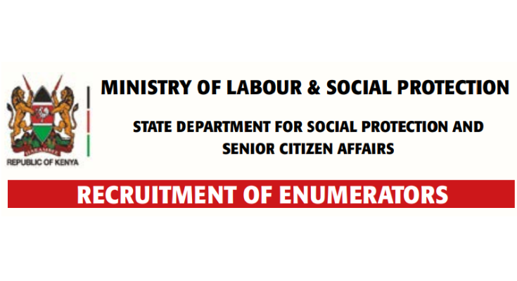 Ministry of Labour Enumerator Jobs: How to Apply | ONPoint News